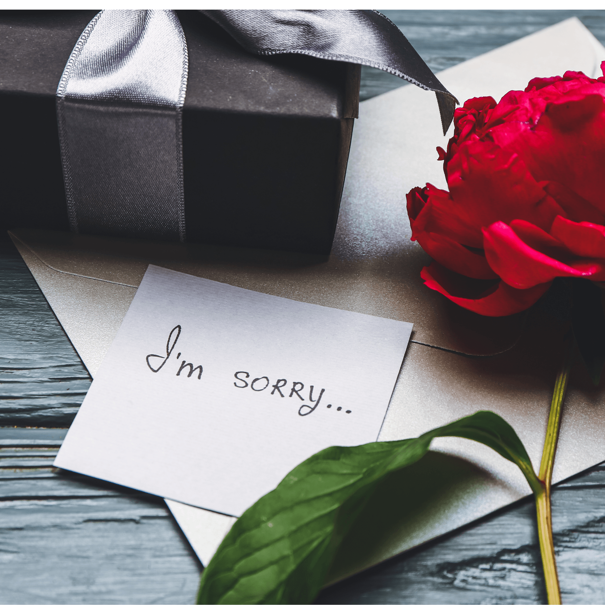 Apology Gifts | Mallard Moon Gift Shop