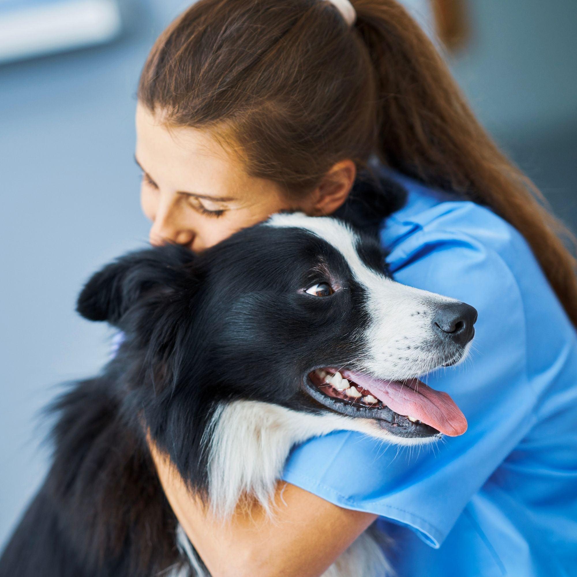 Veterinary Assistant Gifts – Mallard Moon Gift Shop